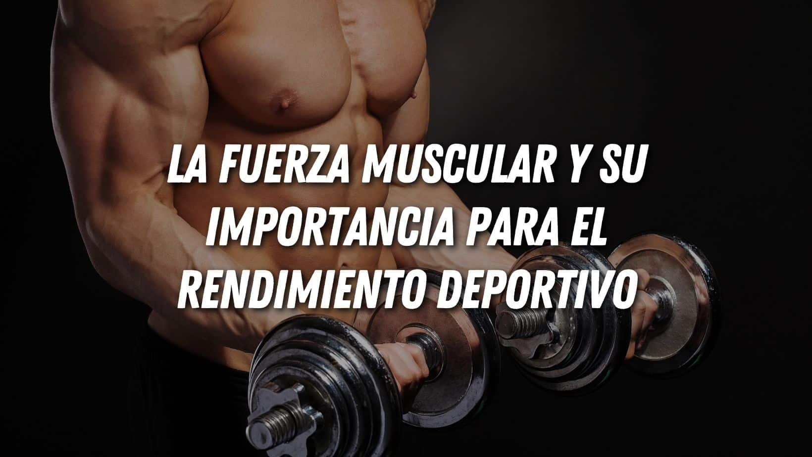 La fuerza muscular y su importancia en el rendimiento deportivo ...