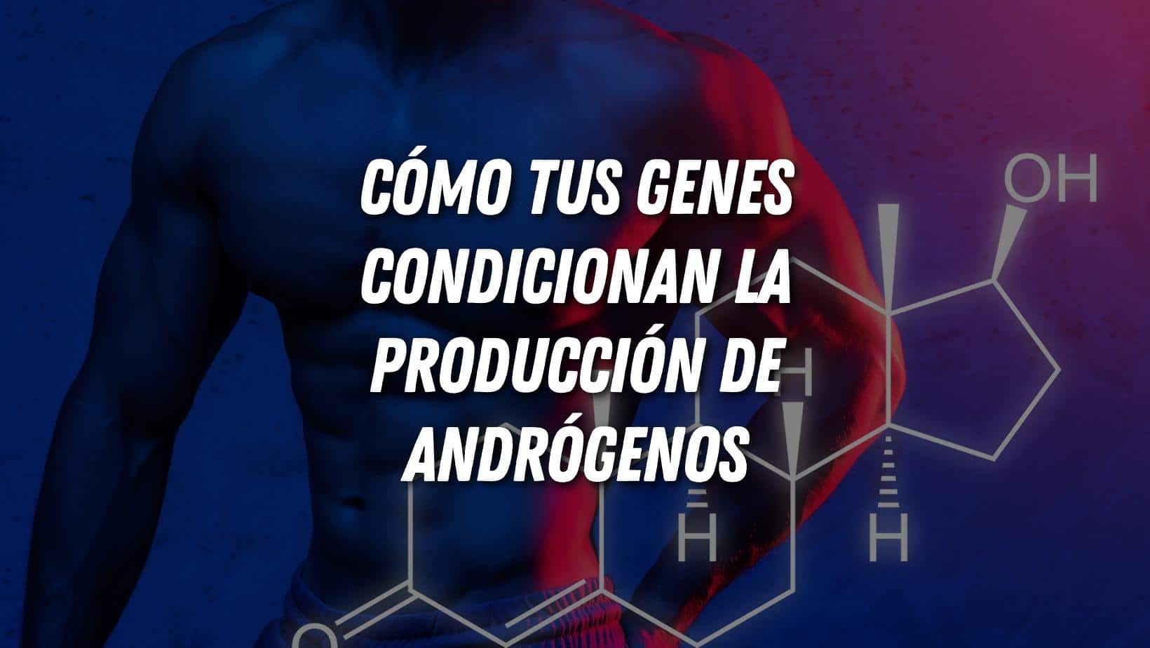Cómo tus genes condicionan la producción de andrógenos - Sportnomics